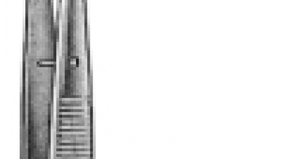 Brophy Tissue Fcps cvd serr jaws 1x2T, 20cm