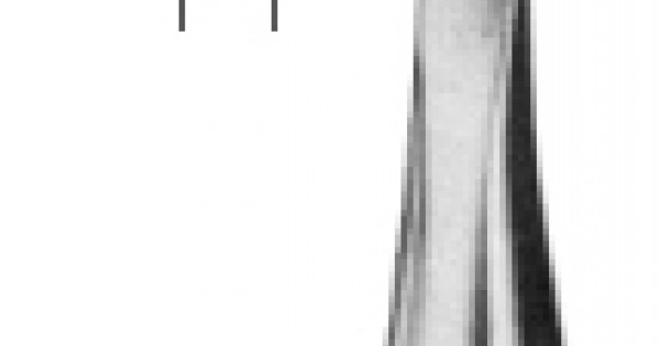 Smith Peterson Bone Gouge cvd 25mm, 20cm