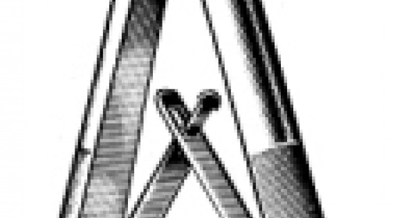 Bane Bone Rongeur cvd jaw 5mm wide 18cm