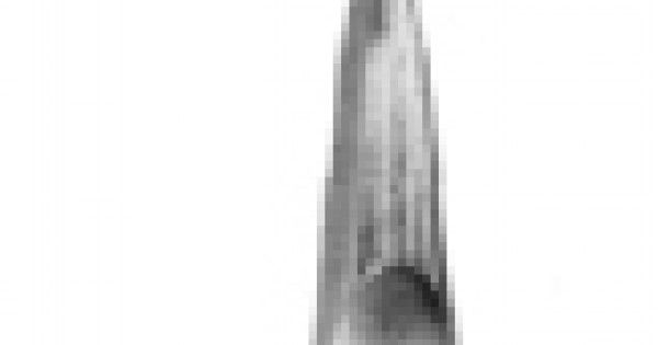 Reich Zygomatic Awl right 17mm, 15cm