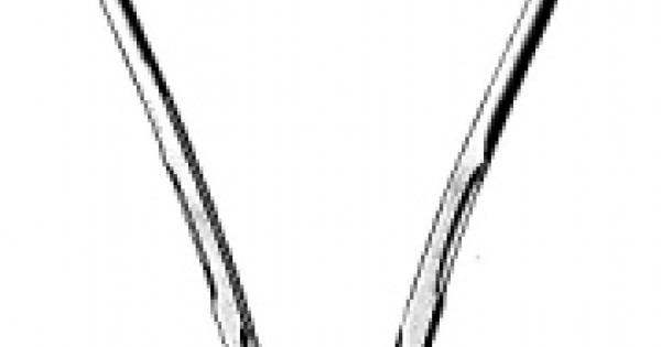 Martin Pelvimeter 34cm cm/inch scale